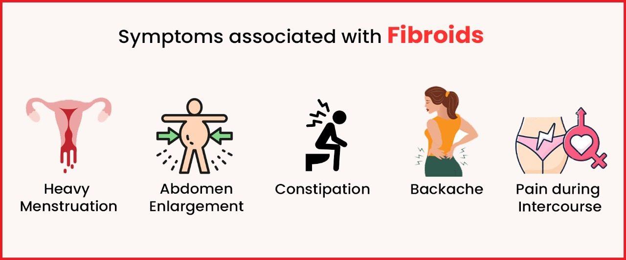 Uterine Fibroids: Causes, Symptoms & Treatment - Imprimis IVF