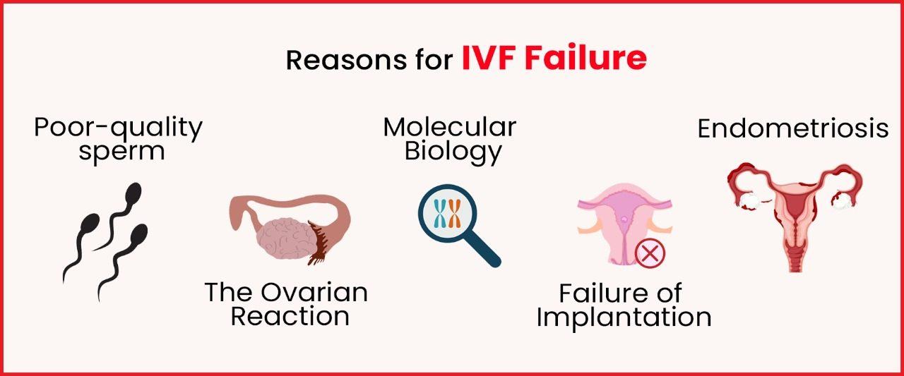 Top 10 Reasons for IVF Failure in 2025 - Imprimis IVF Centre