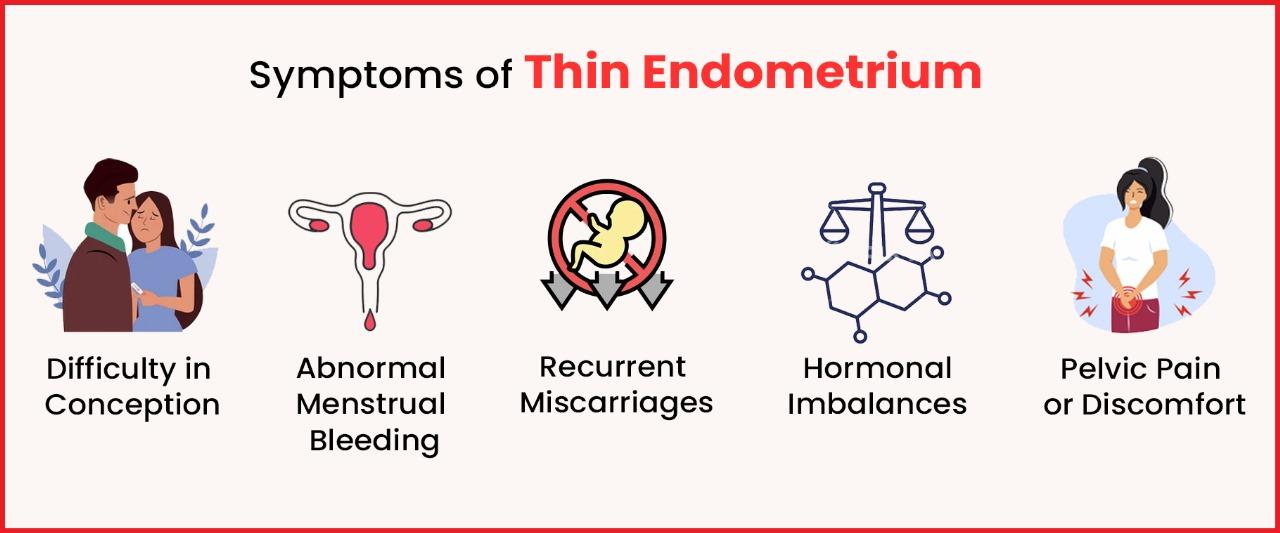Thin Endometrium? Causes, Symptoms & Treatment