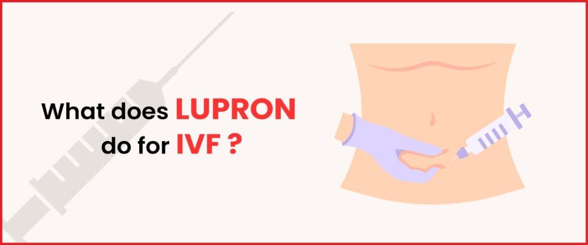 Best IVF Centre in Srinagar, Kashmir - Imprimis IVF