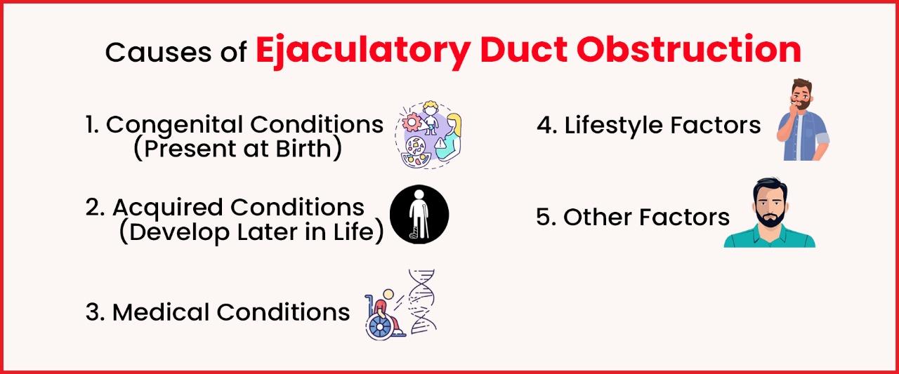 Ejaculatory Duct Obstruction: Causes, Symptoms and Treatment