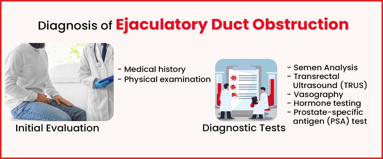 Ejaculatory Duct Obstruction: Causes, Symptoms and Treatment